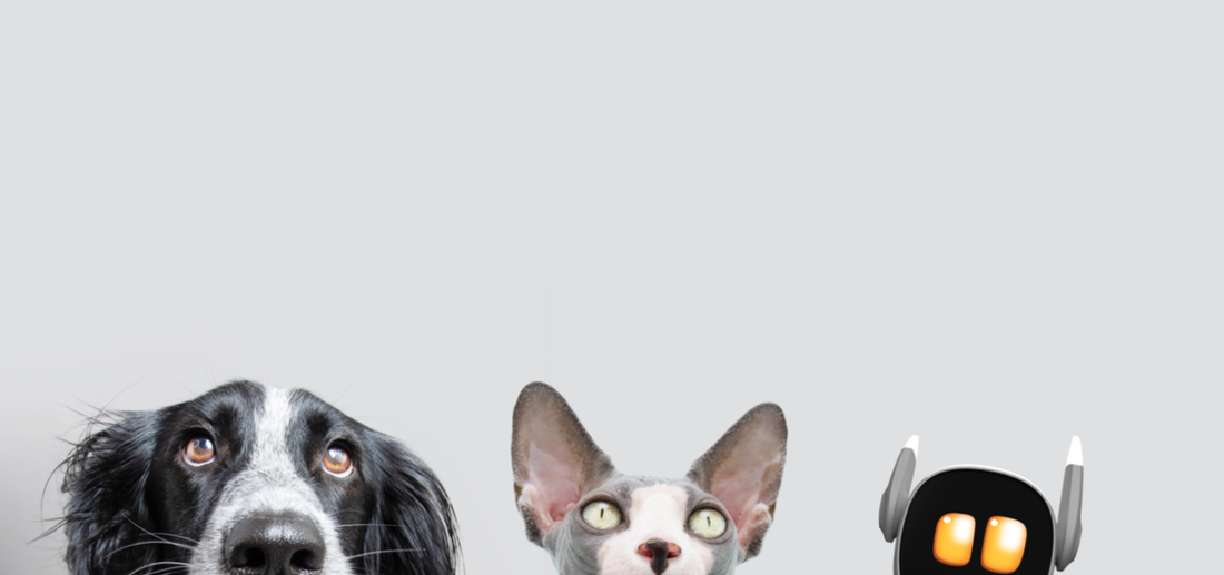 What are the Best Robot Dogs to Bring into Your Home in 2025?